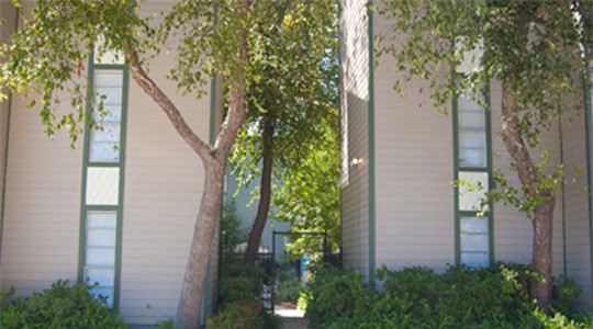 Surf Rider Apartments in Metairie, LA - 1 & 2 Bedroom Apartments For ...